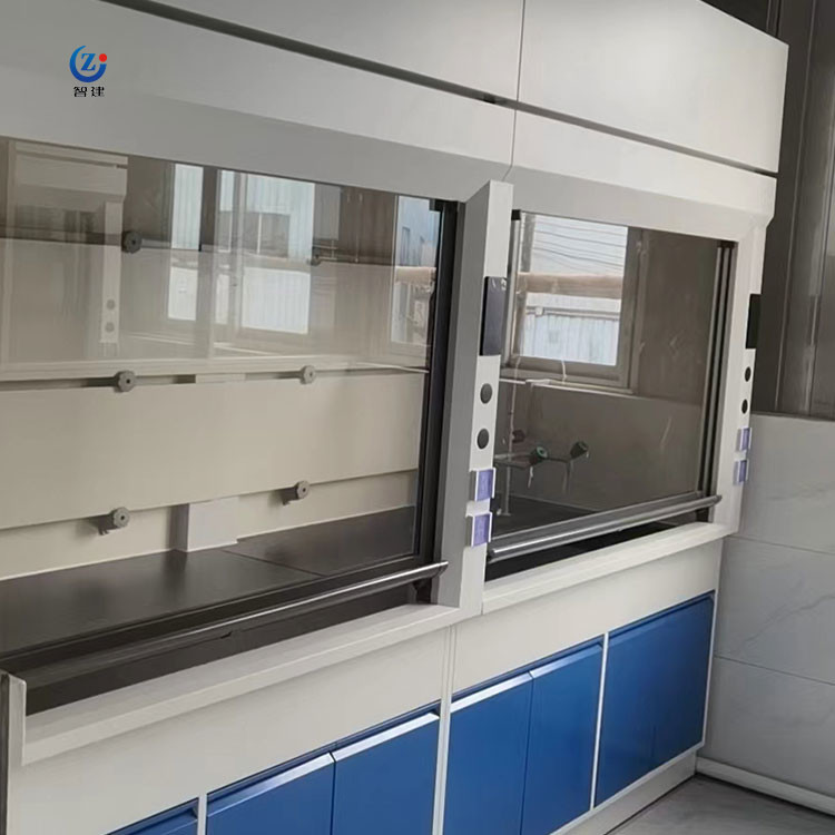 Customizable Metal Fume Hood , ISO Standard Chemical Resistant Lab Fume ...
